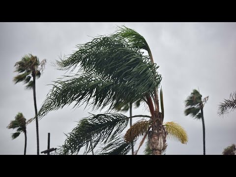 ANOTHER WINDY DAY - YouTube