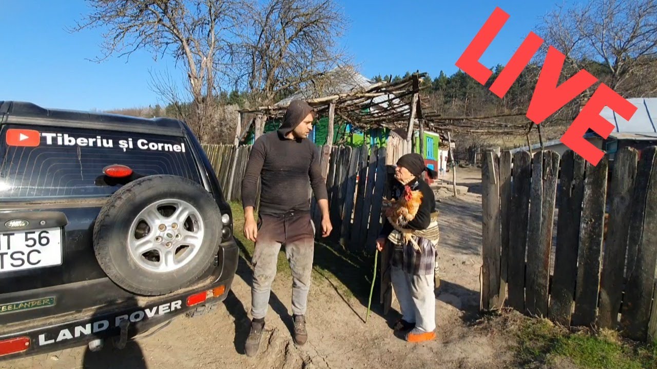 20k dormim in padure o noapte ! - YouTube