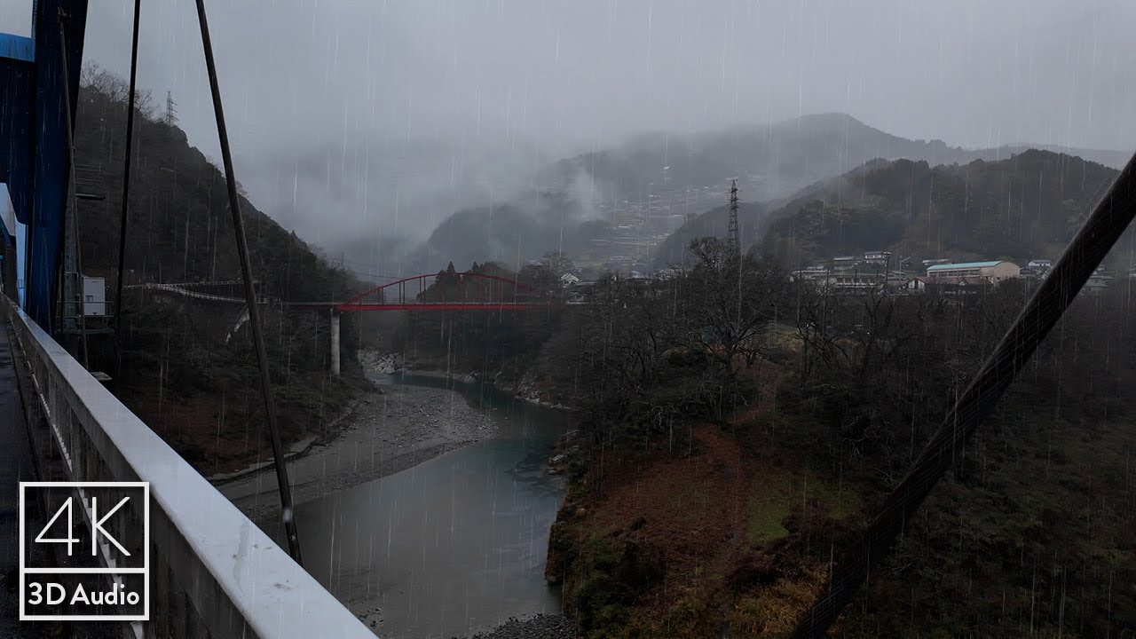 Walking in the Valley in the Rain | Binaural sound of light rain, water flow & monkey ’s ...