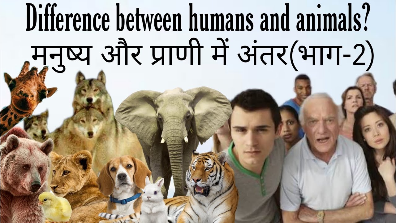 मनुष्य और प्राणी में अंतर(भाग-2) What's the Difference between humans ...