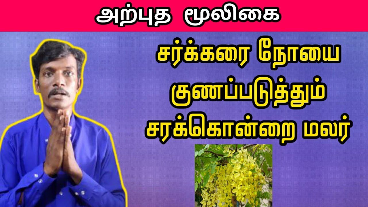 சர்க்கரை நோயை குணப்படுத்தும் சரக்கொன்றை மலர் | Sarakondrai Flower ...
