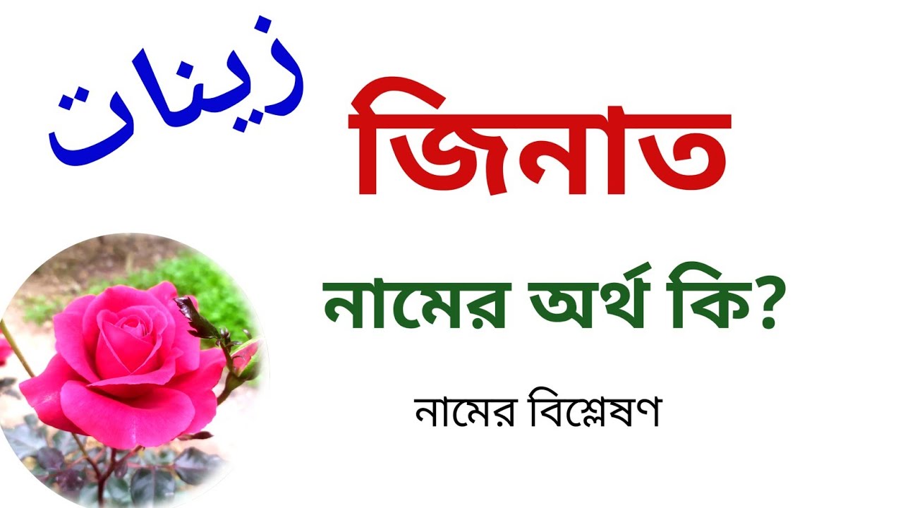 জিনাত নামের অর্থ কি | Zinat name meanings | What is the meanings of ...