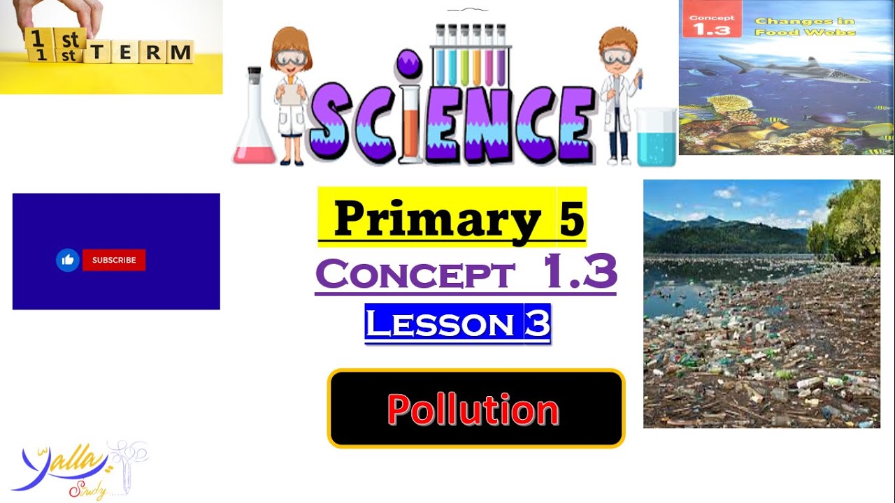 Science chapter 3 concept 3 lesson 3 theme 1 primary 5 first term - YouTube