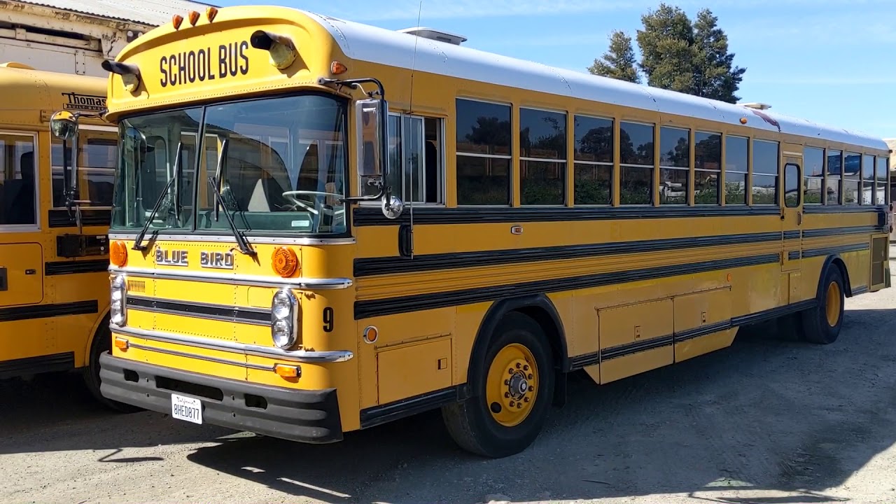 1987 Blue Bird All American RE School Bus Tour - YouTube
