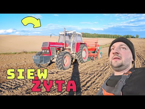 Siew Żyta Uprawa Bezorkowa Czy To Się Tym Razem Uda?  Trudny Tydzień 