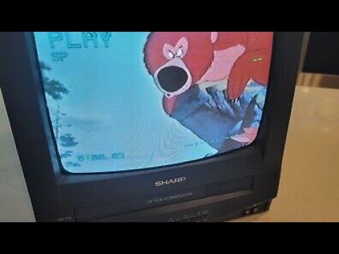 Sharp 13" TV VCR Combo CRT Retro Gaming Television 13VT-N100 - YouTube