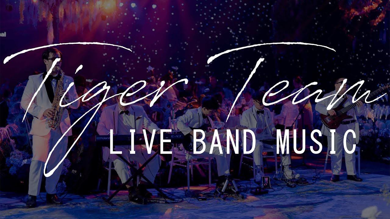 Những Lời Dối Gian - Cover | Tiger Team - Live Band Music - YouTube