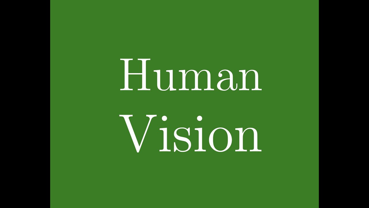 Human Vision, Explained with Physics - YouTube