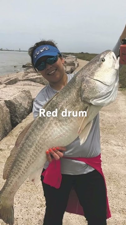 Texas State Record Fish - YouTube