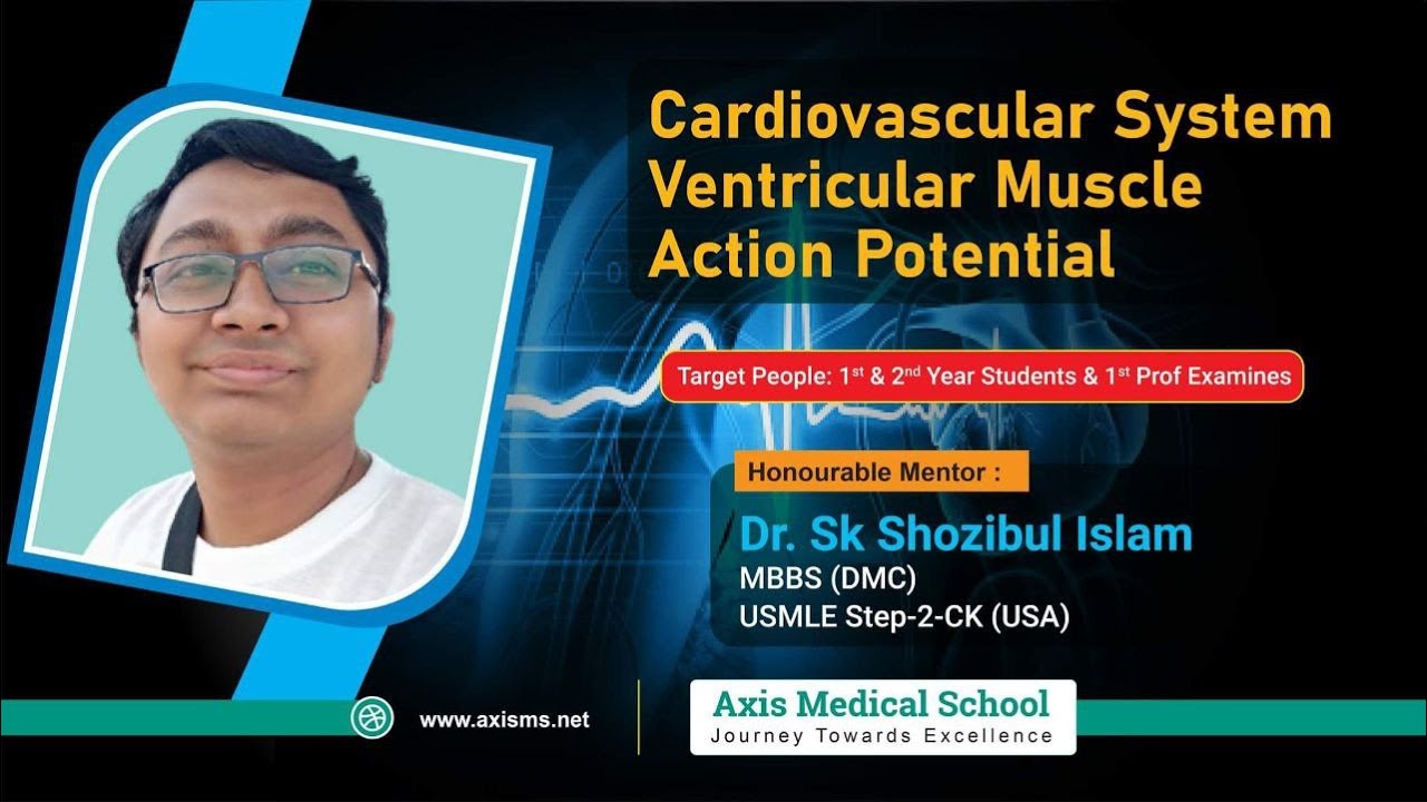 Ventricular Muscle Action Potential || Cardiovascular System - YouTube