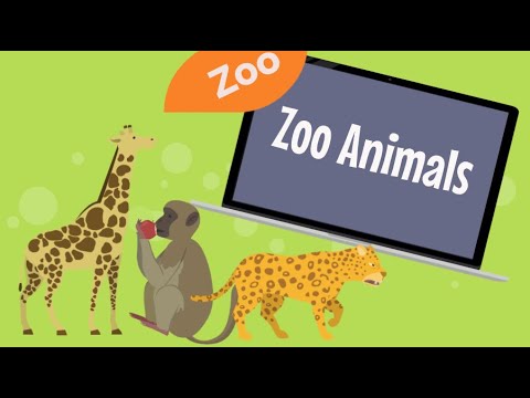 Zoo Animals - At the Zoo -Exploring the Fascinating World of Zoo ...