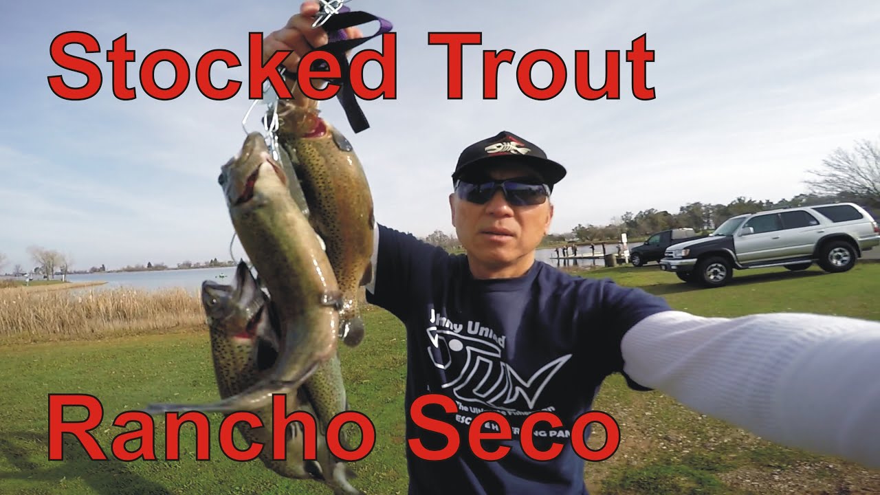 Trout Action: Enter The X-Factor - YouTube