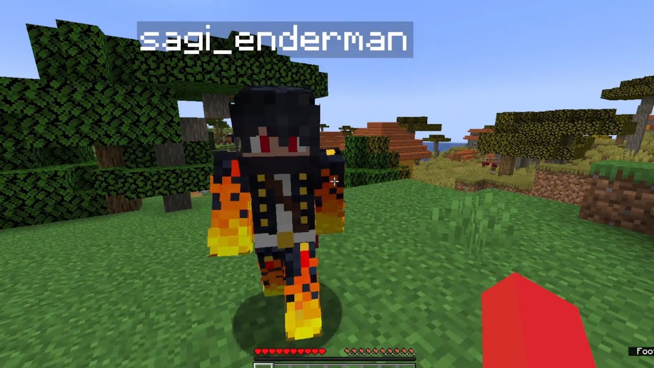 Minecraft Speedrunner VS Sagi_enderman - YouTube