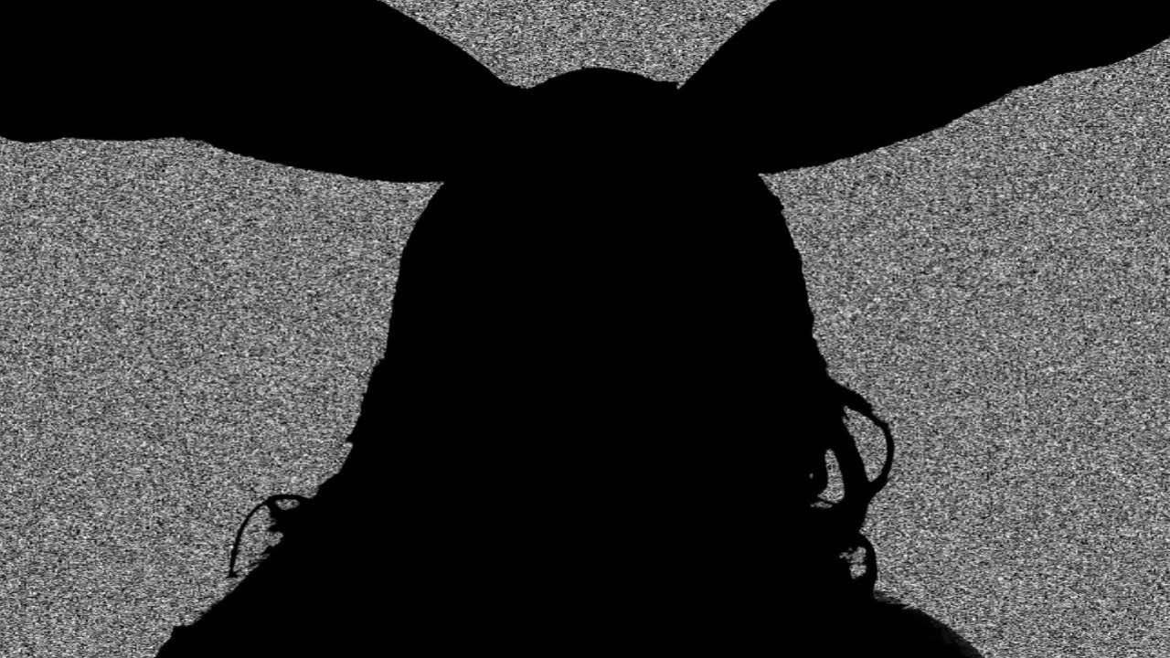 Normalize - Mother Mother | Fan Music Video Submission - YouTube