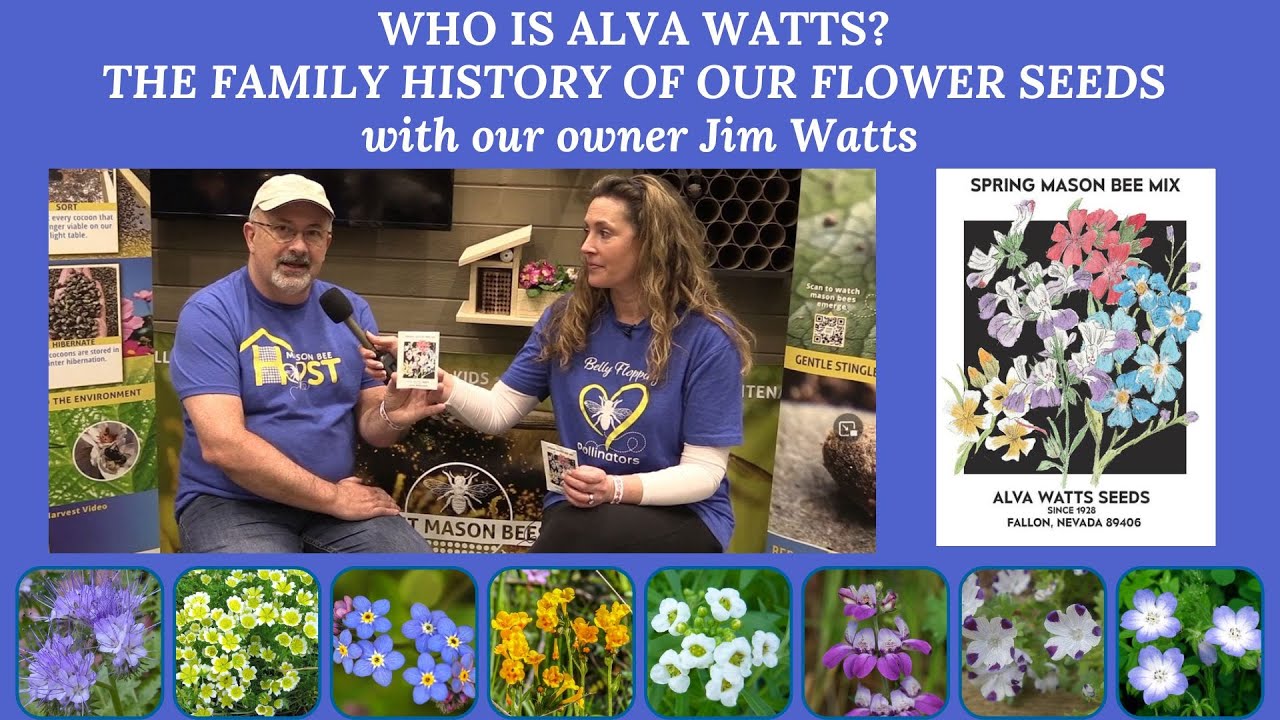 Learn the family history of our Alva Watts Flower Seeds with owner Jim ...