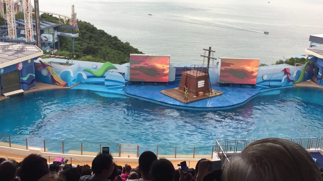 Ocean Park Ocean Theatre Show - YouTube