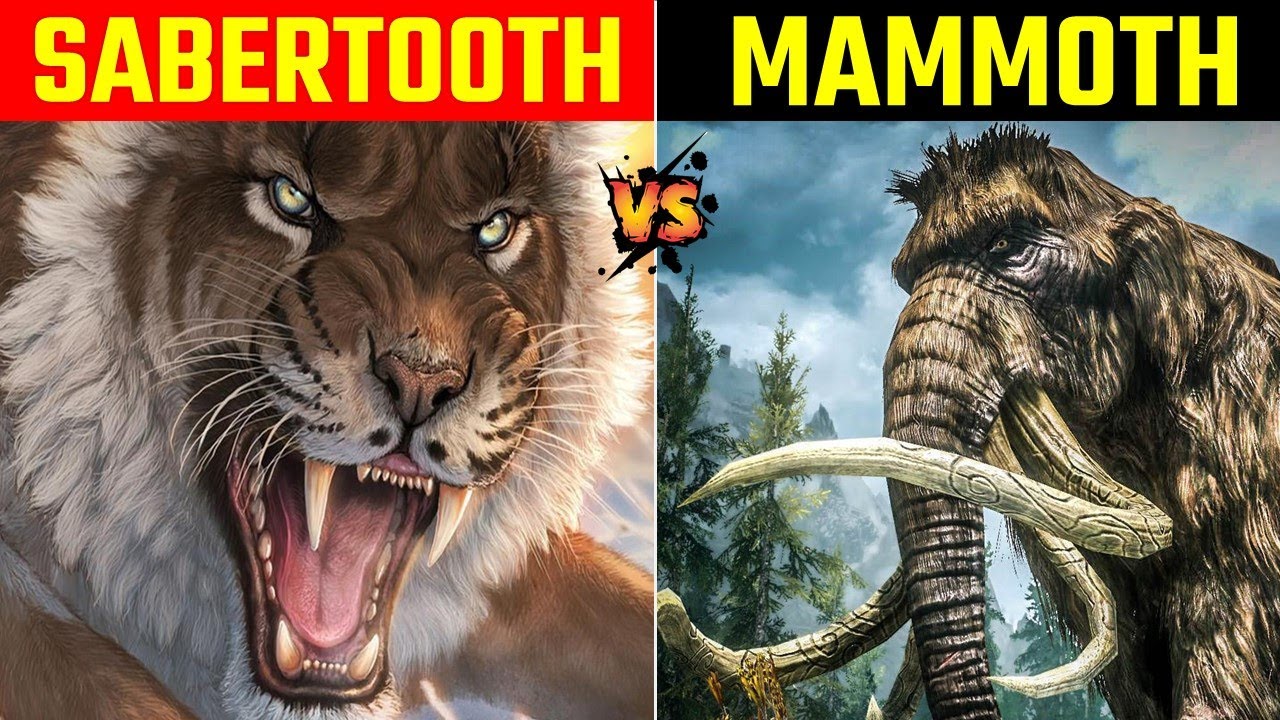 SABERTOOTH TIGER VS MAMMOTH किसकी होगी जीत ? कौन है ज्यादा खूंखार ? और ...