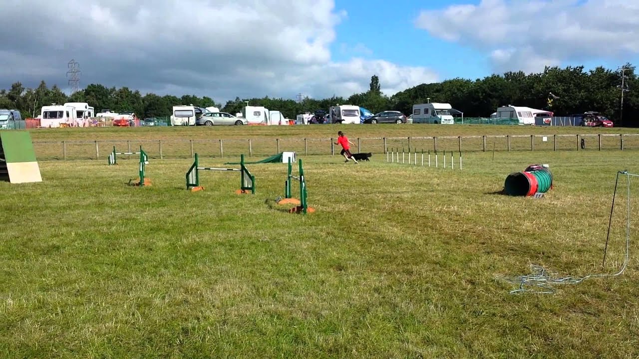 Grade 1 Agility WIN - YouTube