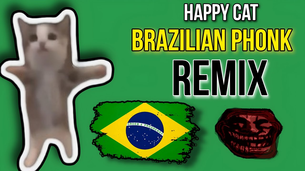 happy happy happy cat BRAZILIAN REMIX!! (phonk brasileño) - YouTube