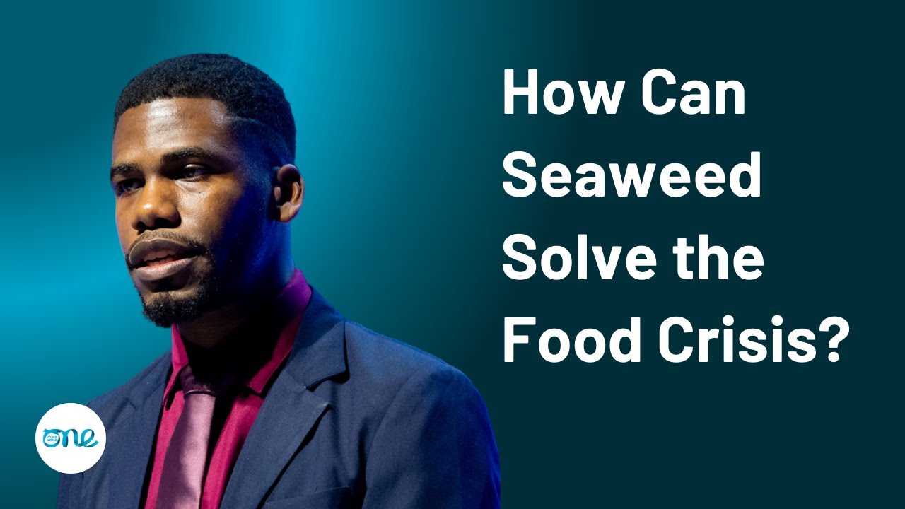 The Unexpected Solution to Jamaica’s Food Crisis | Nicholas Kee | One ...