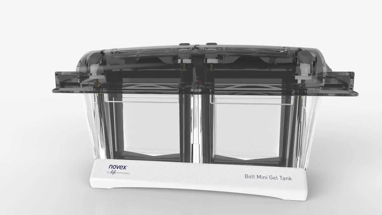 Bolt Gel Tank Animation Video - YouTube