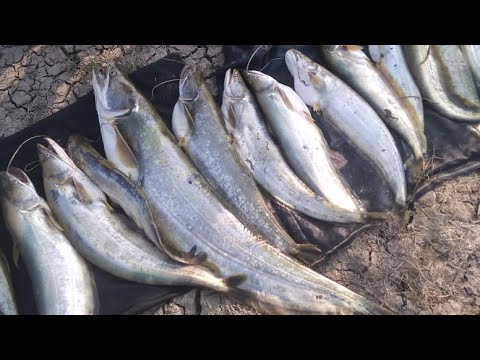 MALLI FISHING - YouTube