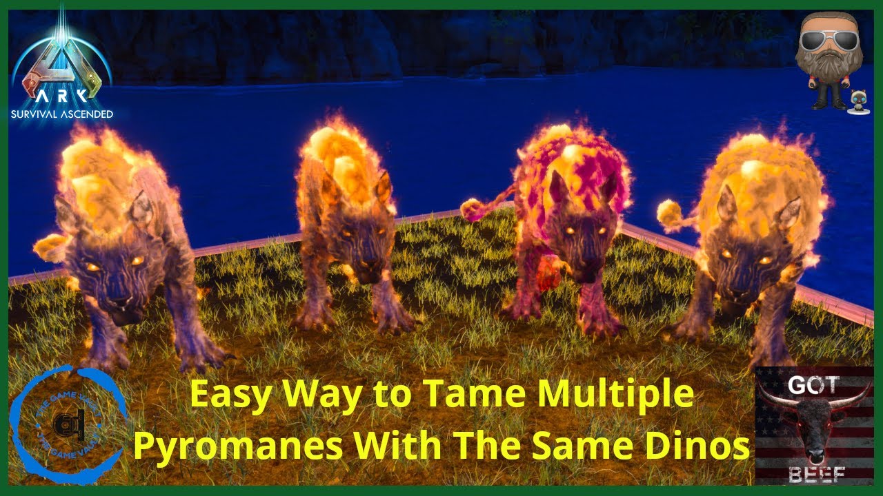 Ark Survival Ascended [PS5] Easy Way to Tame Multiple Pyromanes With ...