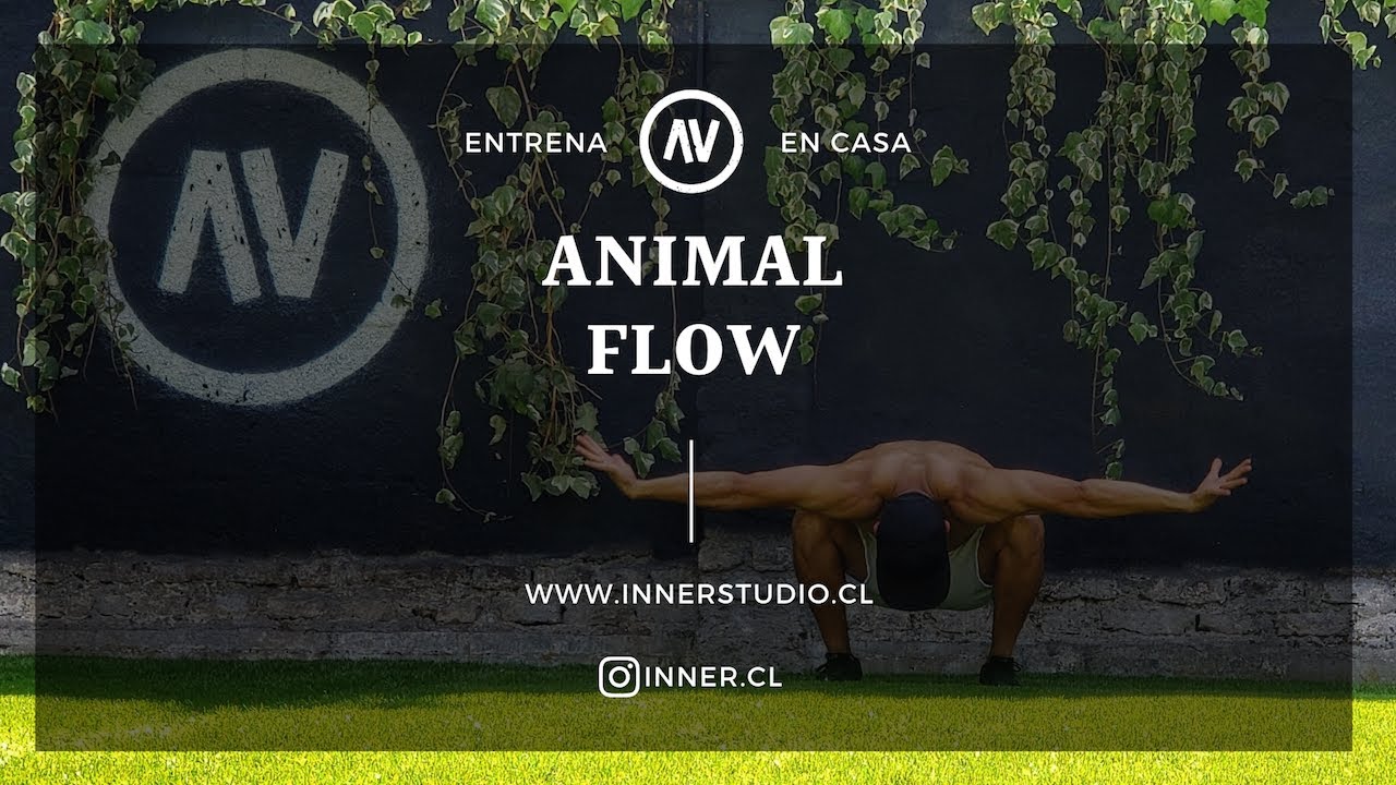 ANIMAL FLOW en Casa- Sesión en base a regresión de movimiento SIDE KICK ...