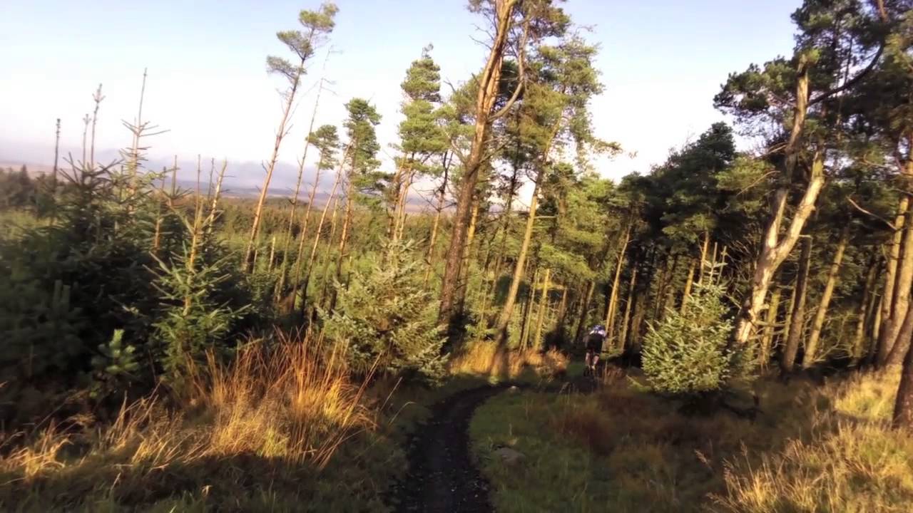 Davagh Forest Trails November 2014 - YouTube