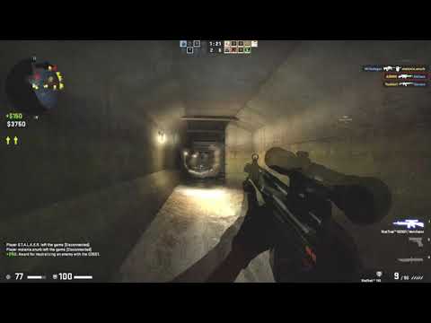 furry extermination - YouTube