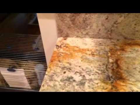 Lori attempts making an instant ice tower - YouTube