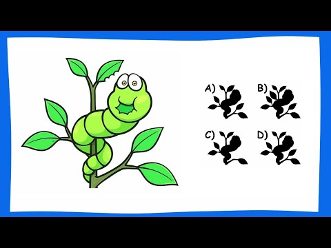 50 Bilsem Sorusu | 1.Sınıf 2.Sınıf 3.Sınıf |Bilsem Genel Yetenek Örnek Sorular #13