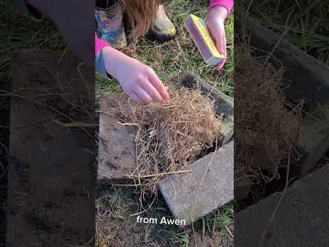 how to start a simple fire - YouTube