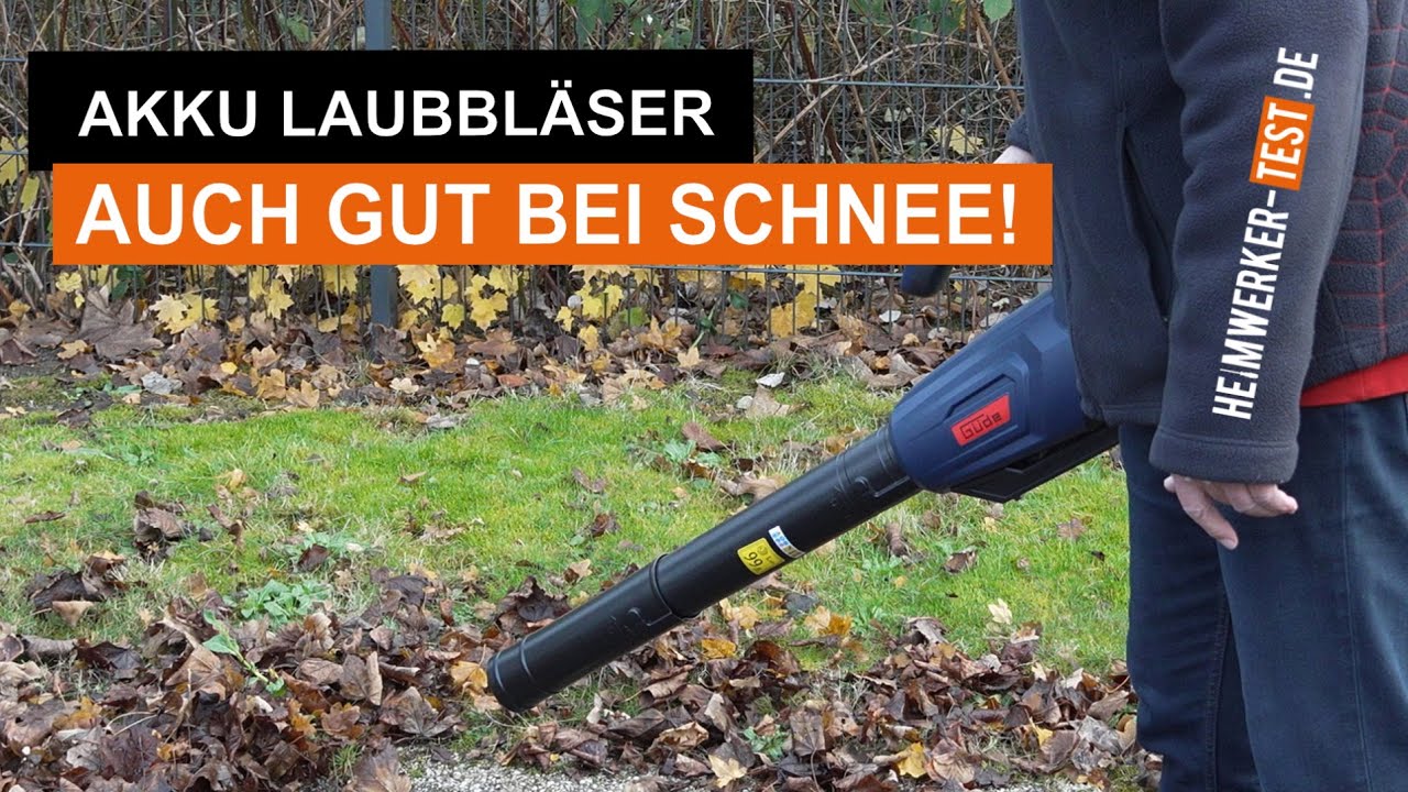 Luxus Benzin Laubblaser Im Test Ebenbild