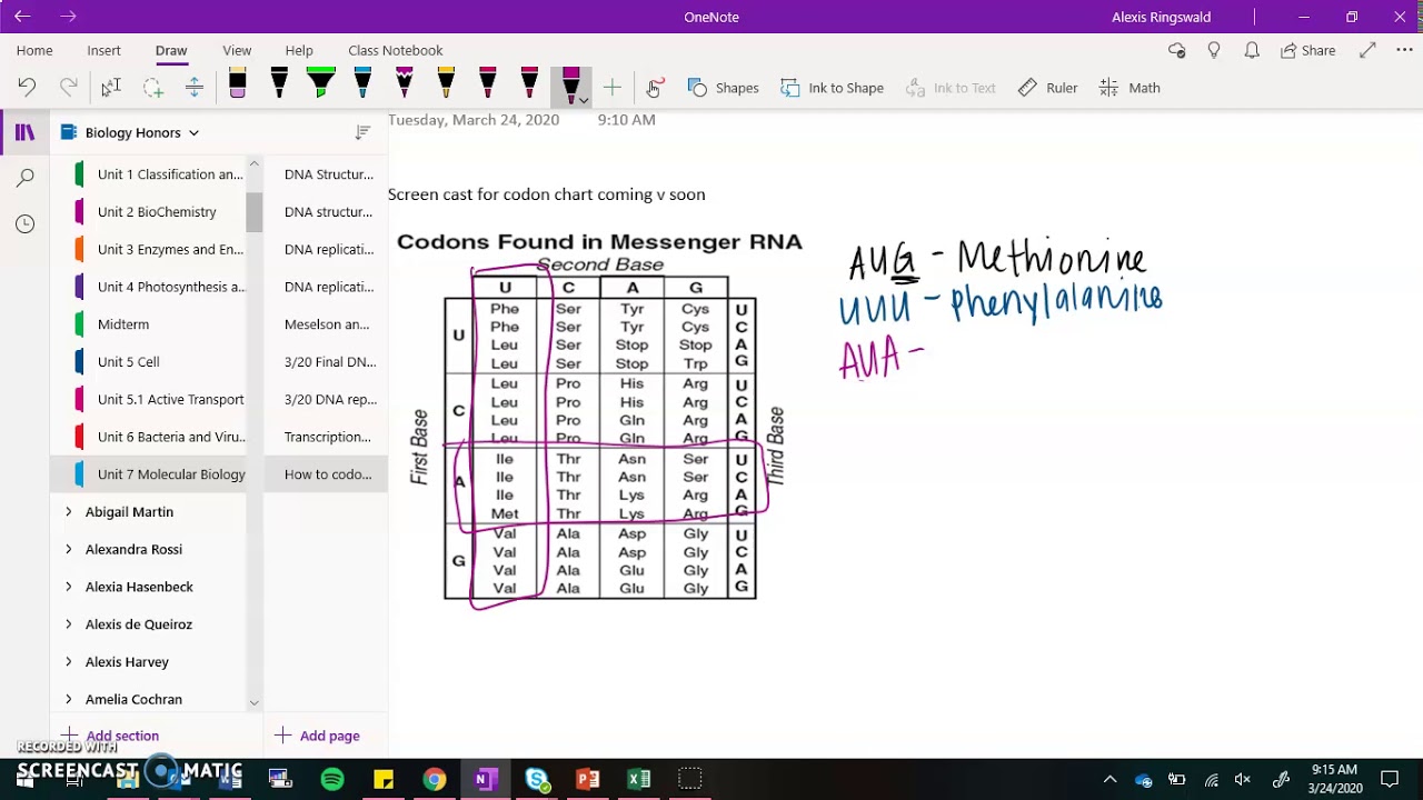 How To Use the Codon Chart - YouTube