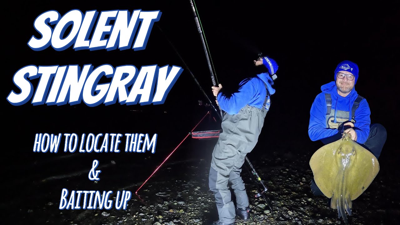 UK Sea Fishing - Solent Stinger Ray - Best Locations - Baiting Up rag ...