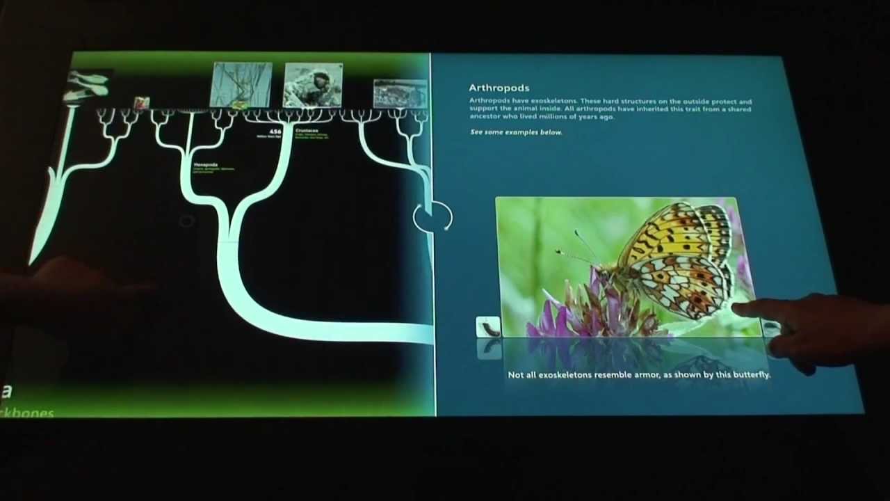 The DeepTree - YouTube