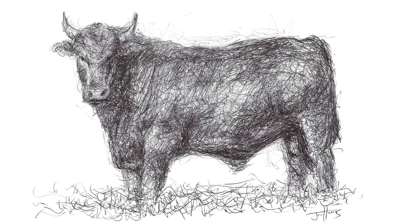 How to Sketch Draw a Bull | Bic Biro Pen Drawing - YouTube