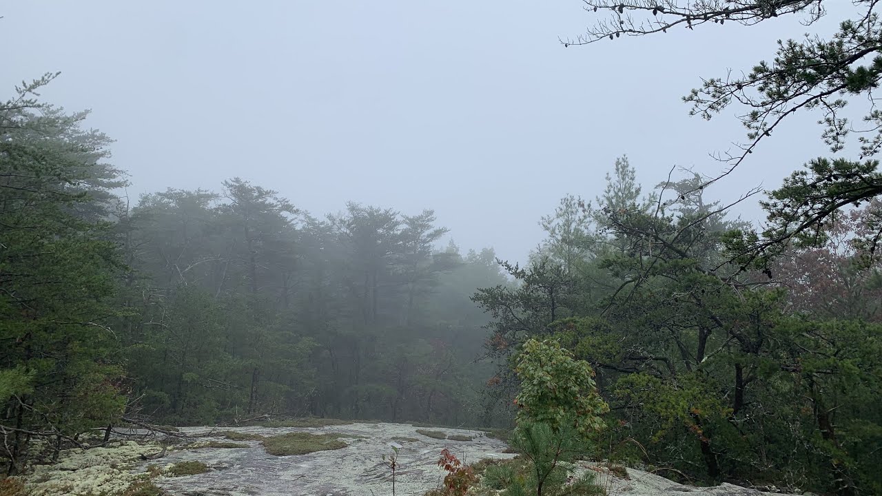 Riding at Wayehutta OHV in Asheville North Carolina on dirt bikes ...