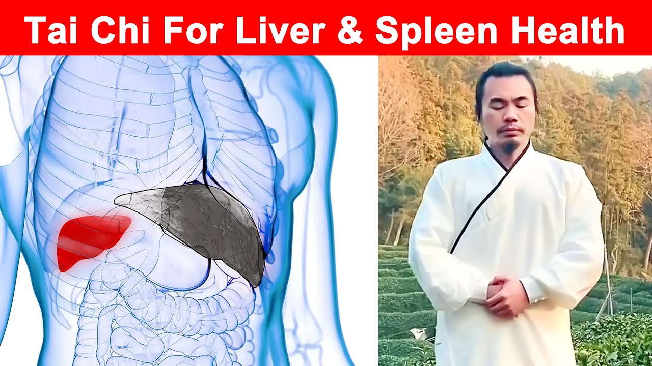 Tai Chi for Liver and Spleen Health: Detox, Strengthen, and Heal - YouTube