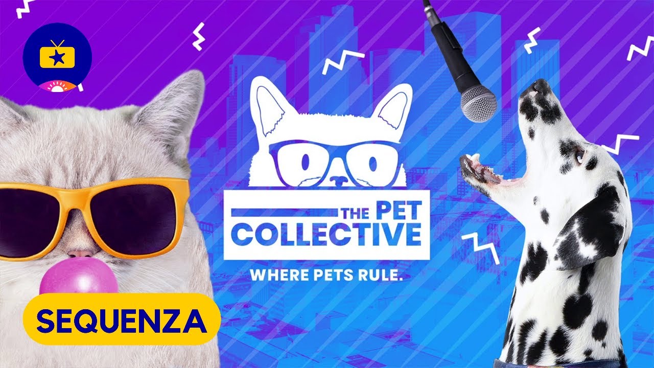 Sequenza The Pet Collective (Pluto TV) | 23 Luglio 2022 - YouTube