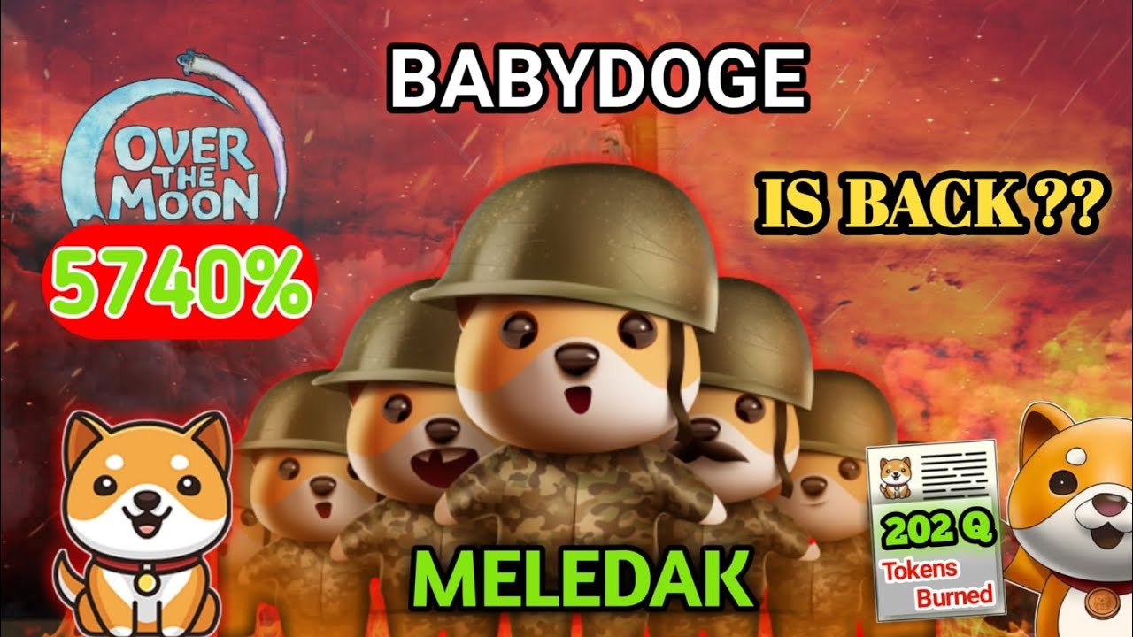 GOOD JOB.,!! HOLDER BABY DOGE BISA SENYUM LAGI KALAU BEGINI😁🥂💰🥂🤑 - YouTube