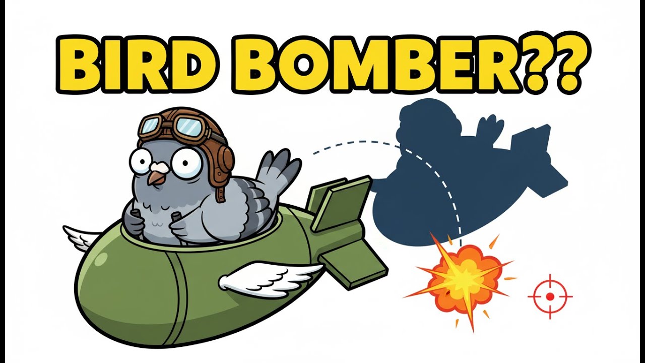 US's Army Bird Brained Bomber : Project Pigeon - YouTube