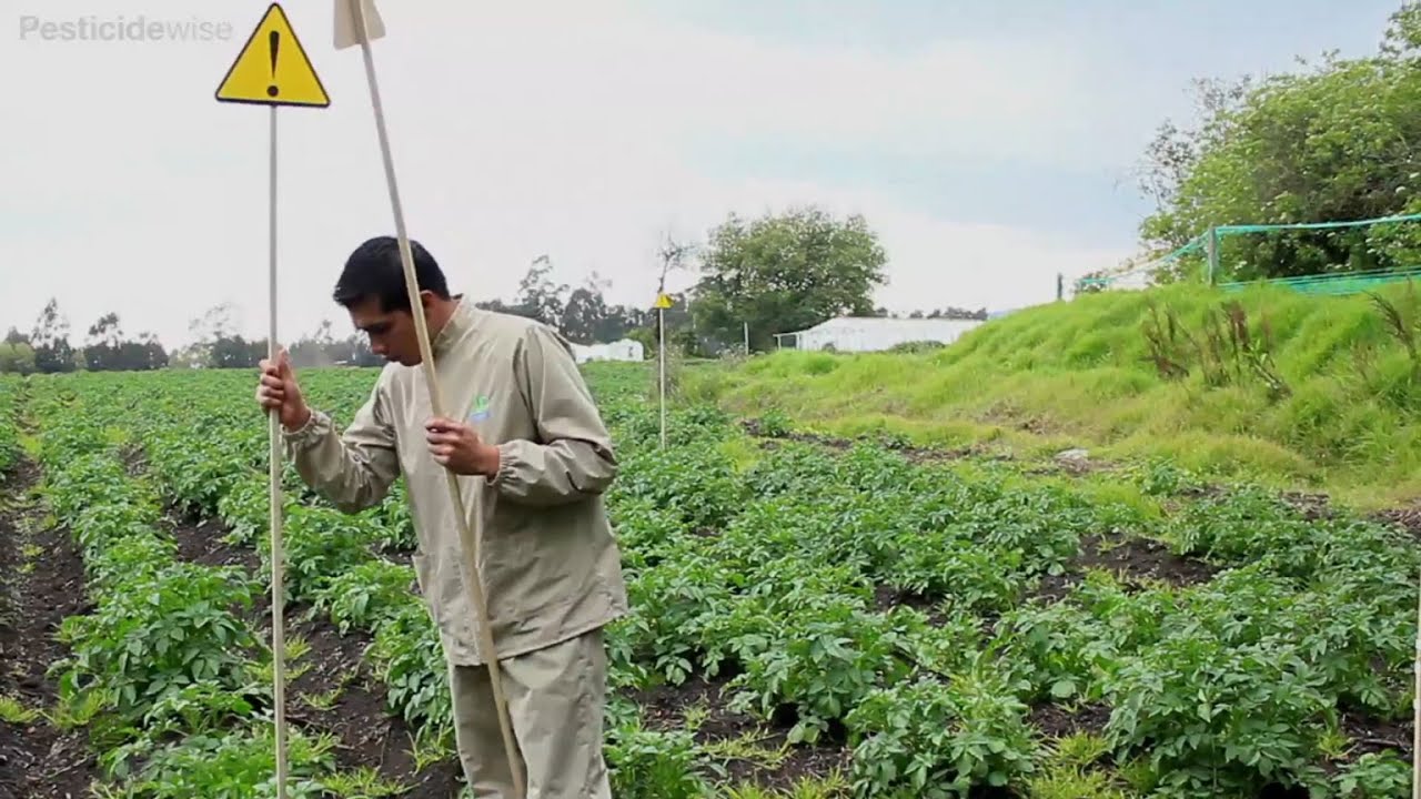 Pesticidewise: setting up your spray area - YouTube