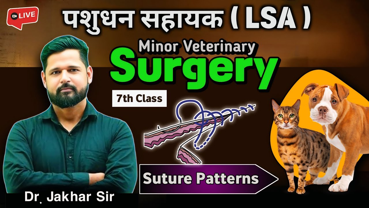 Suture patterns , Veterinary Surgery 07 , dr . jakhar sir ( पशुधन सहायक ...
