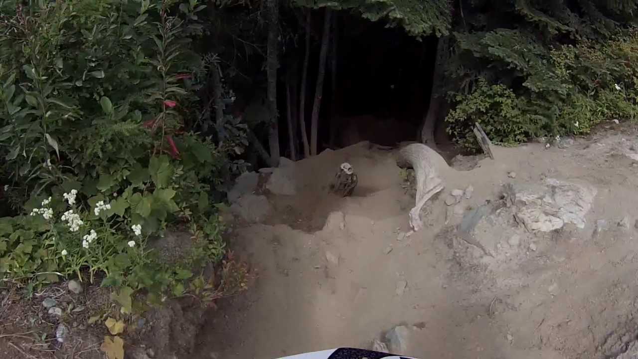 Whistler D1 Proline - YouTube