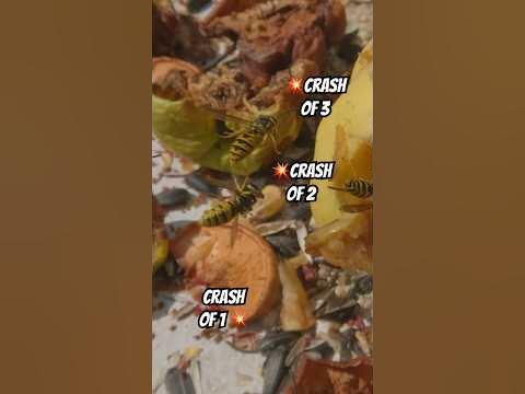 Three Crashes, each one adds a new party to the mix. Two parties involved in two separate ...