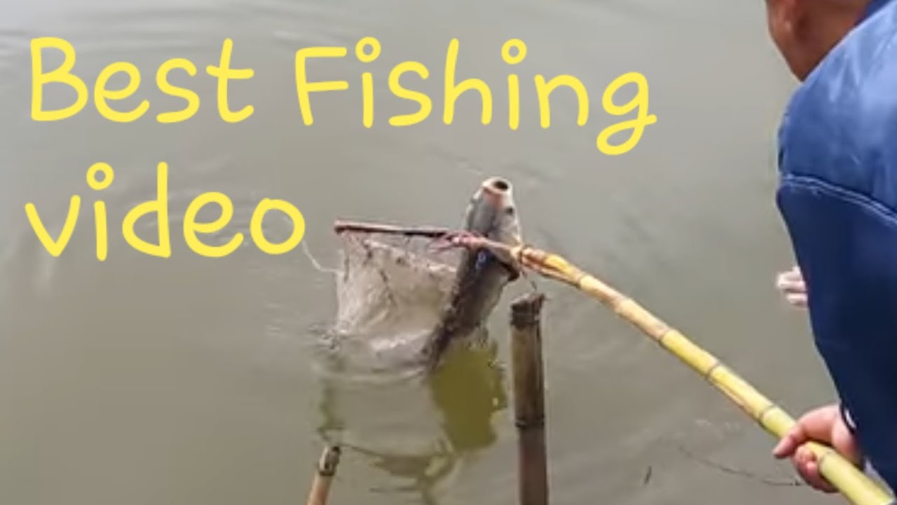 🎣 CAUGHT! Huge Fish in a Pond | Meghalaya’s Big Catch | Fishing ...