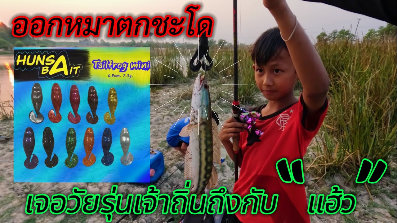 ออกหมายตกชะโด ด้วยเหยื่อ Tailfrog mini เจอวัยรุ่นเจ้าถิ่นจะหมานไหมดูกัน ...