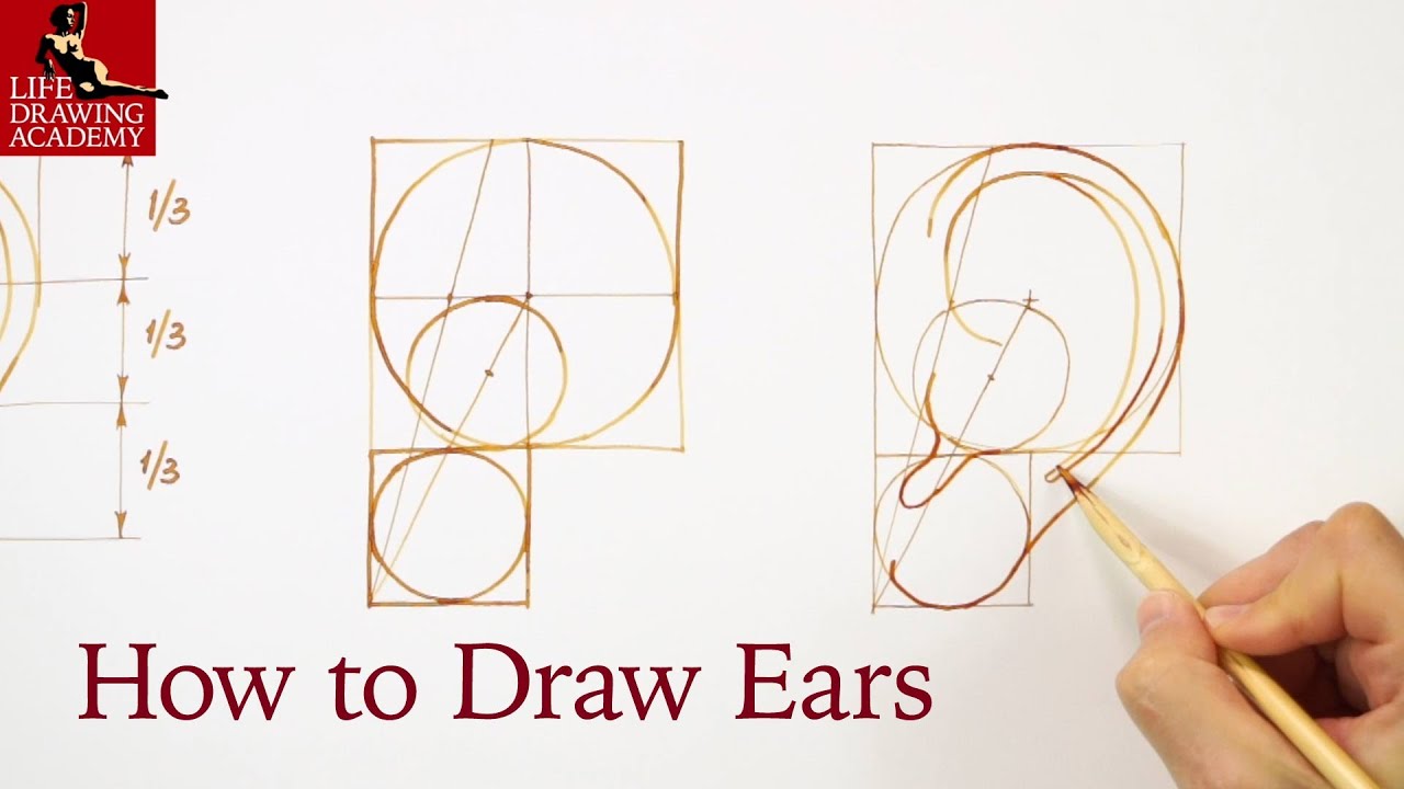 How to Draw Ears - YouTube